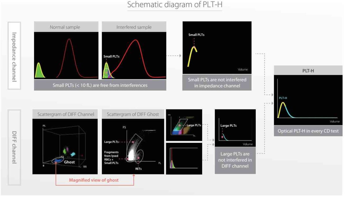 Mindray BC-700 & BC-720 Hematology + ESR - Sasmedica.com